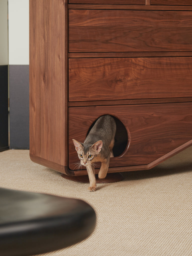 "Pebble" Cabinet – Riikyu
